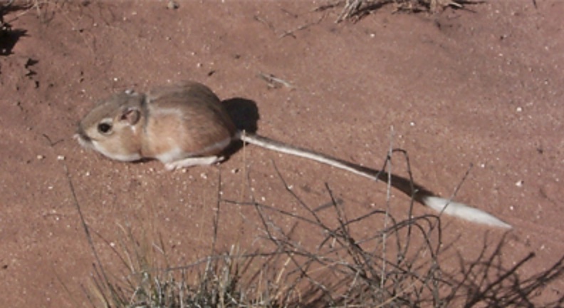 Virtual Tour – Asombro