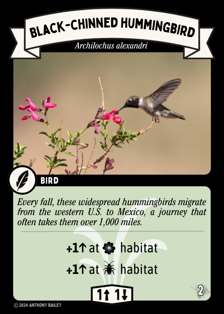 Endless Forms Game – Asombro