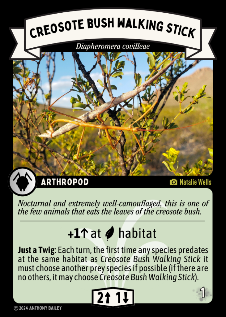 Endless Forms Game – Asombro