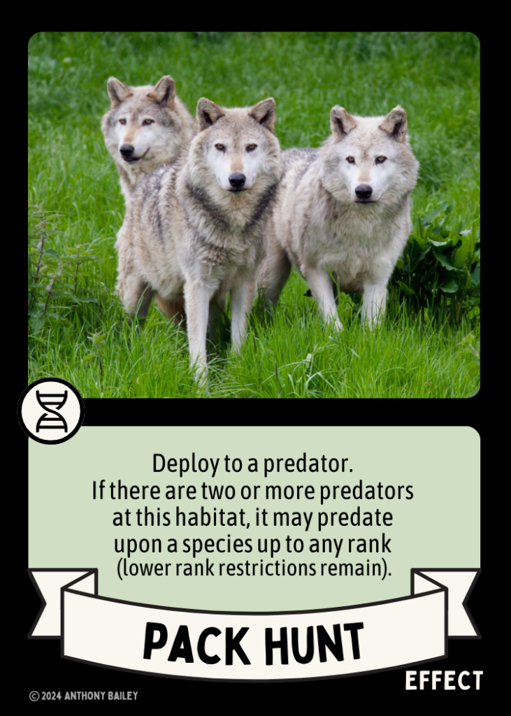 Endless Forms Game – Asombro