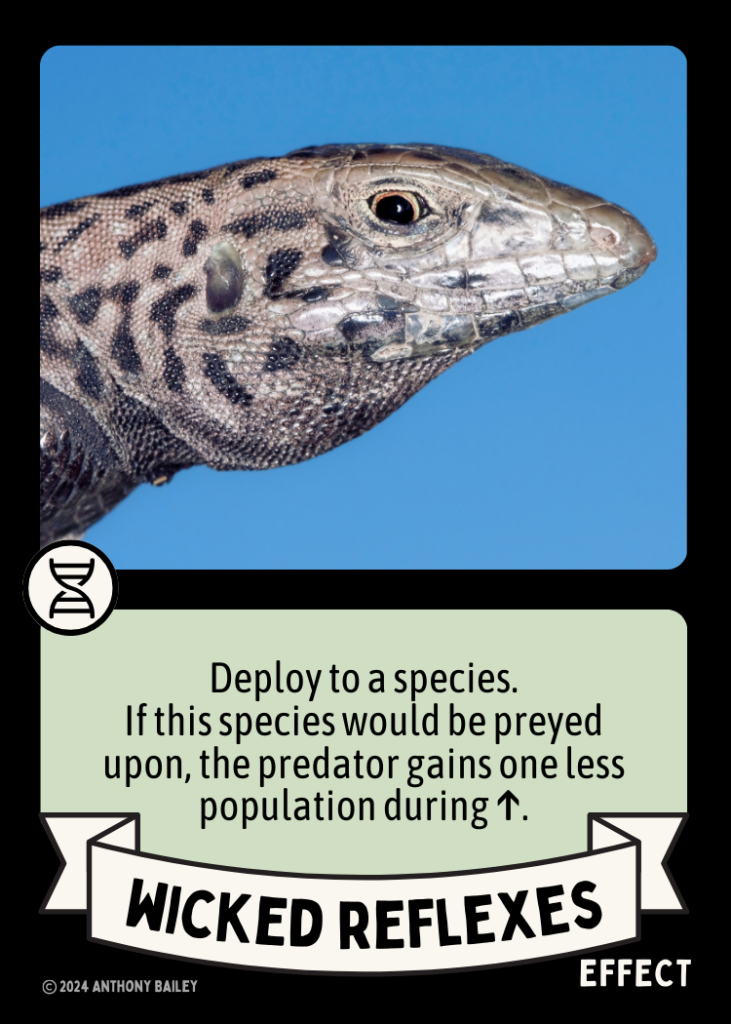 Endless Forms Game – Asombro