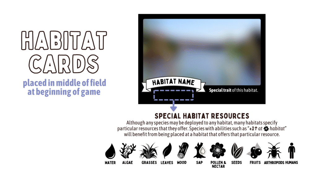 Endless Forms Game – Asombro