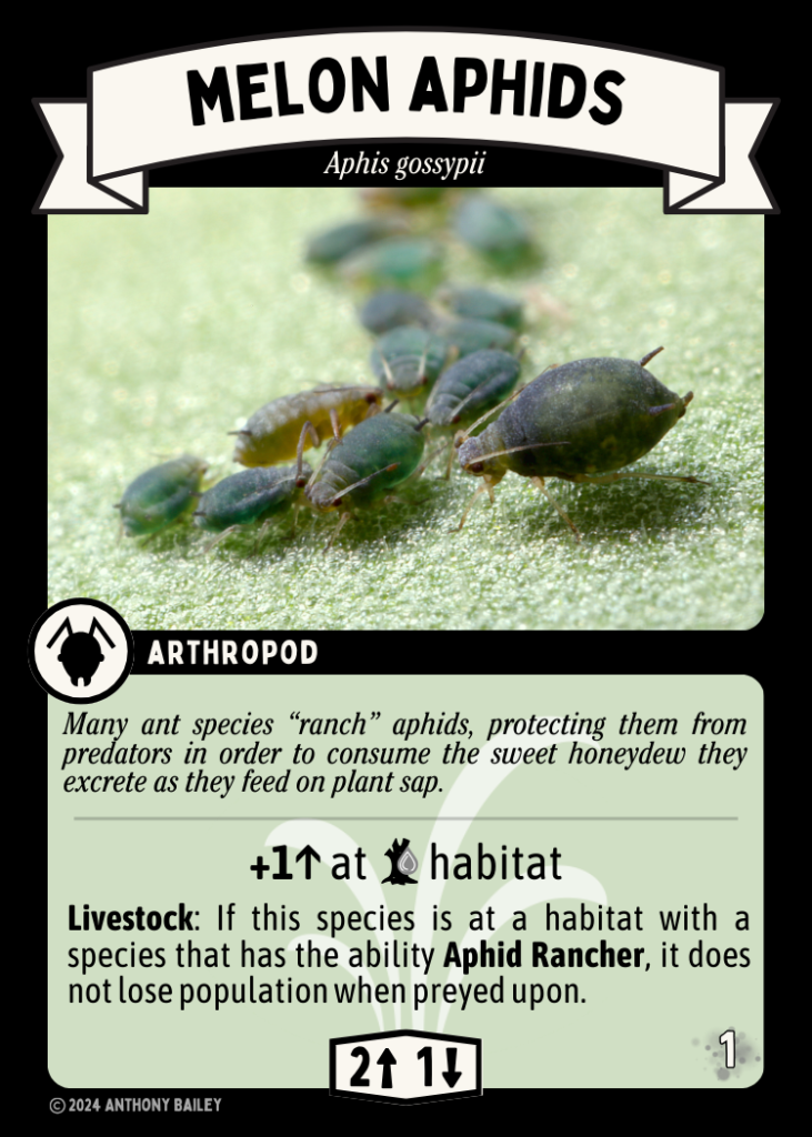 Endless Forms Game – Asombro