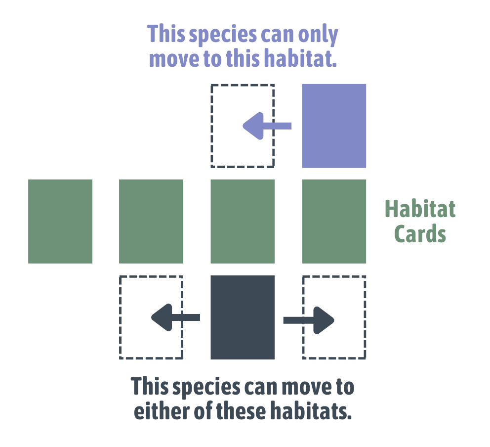 Endless Forms Game – Asombro