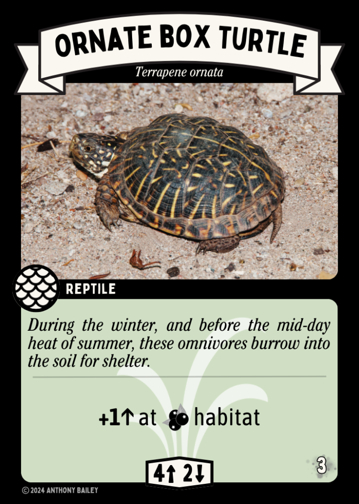 Endless Forms Game – Asombro