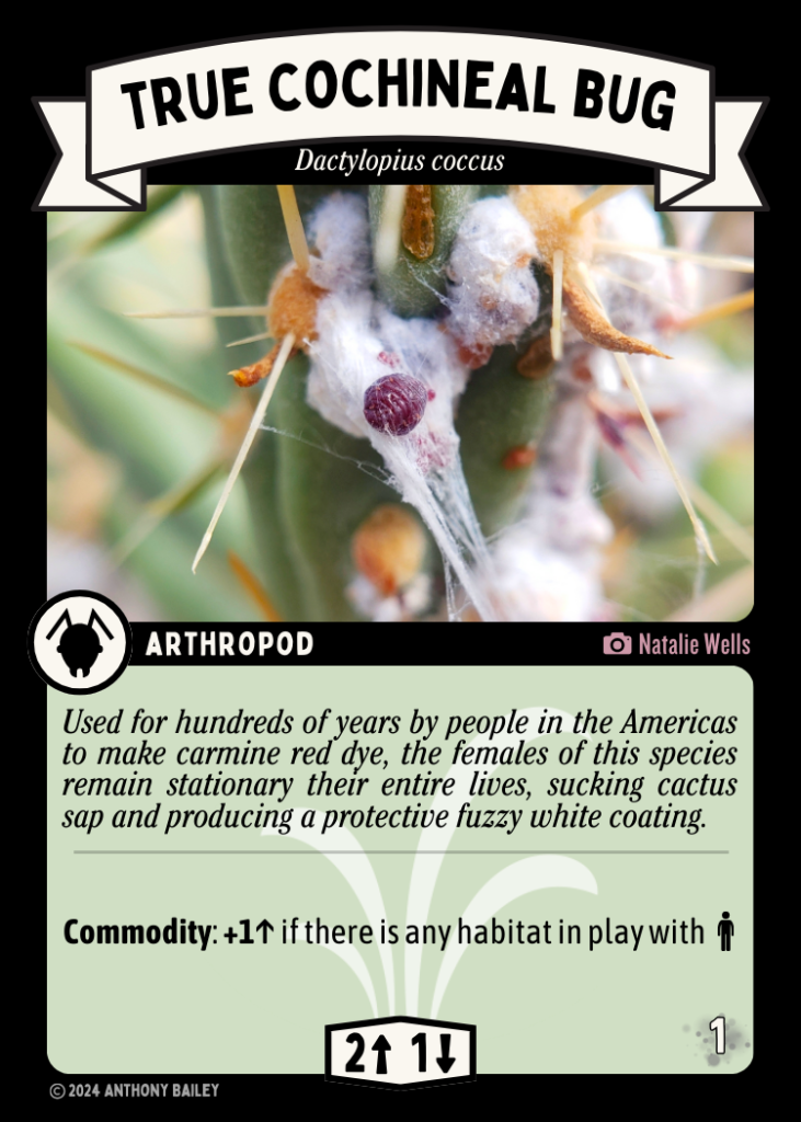 Endless Forms Game – Asombro