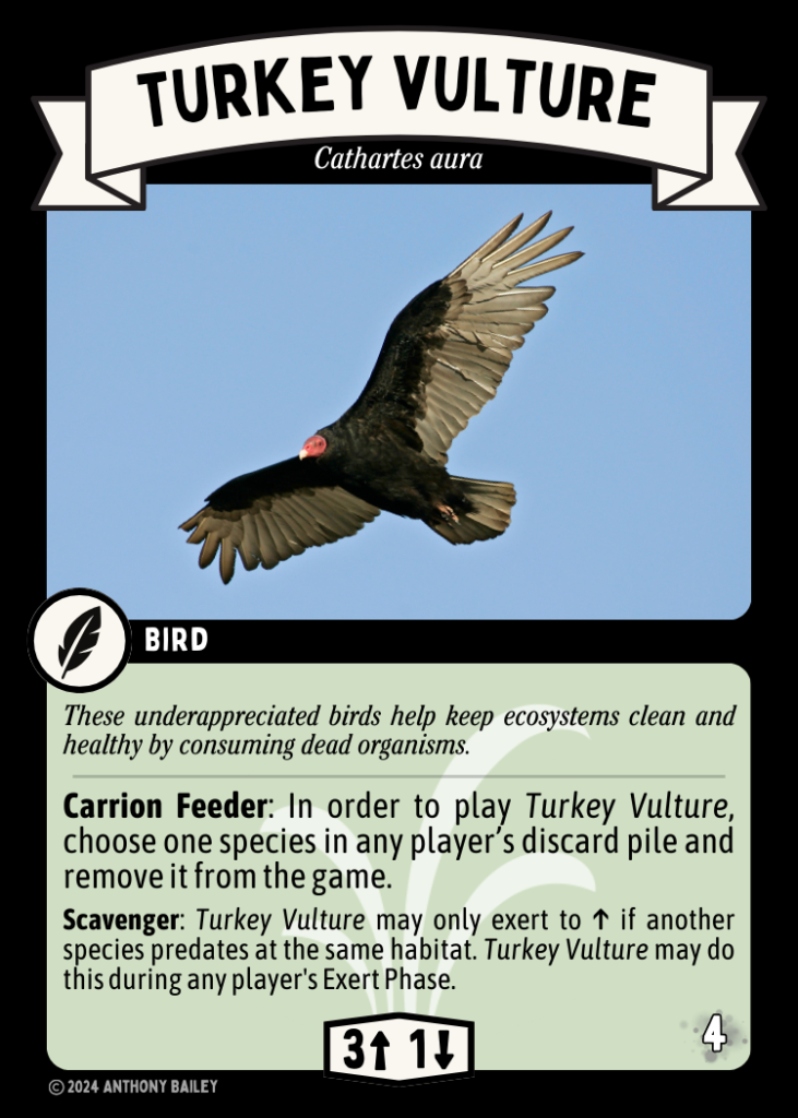 Endless Forms Game – Asombro